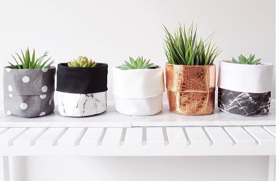 Miss Pots – 3LittlePicks